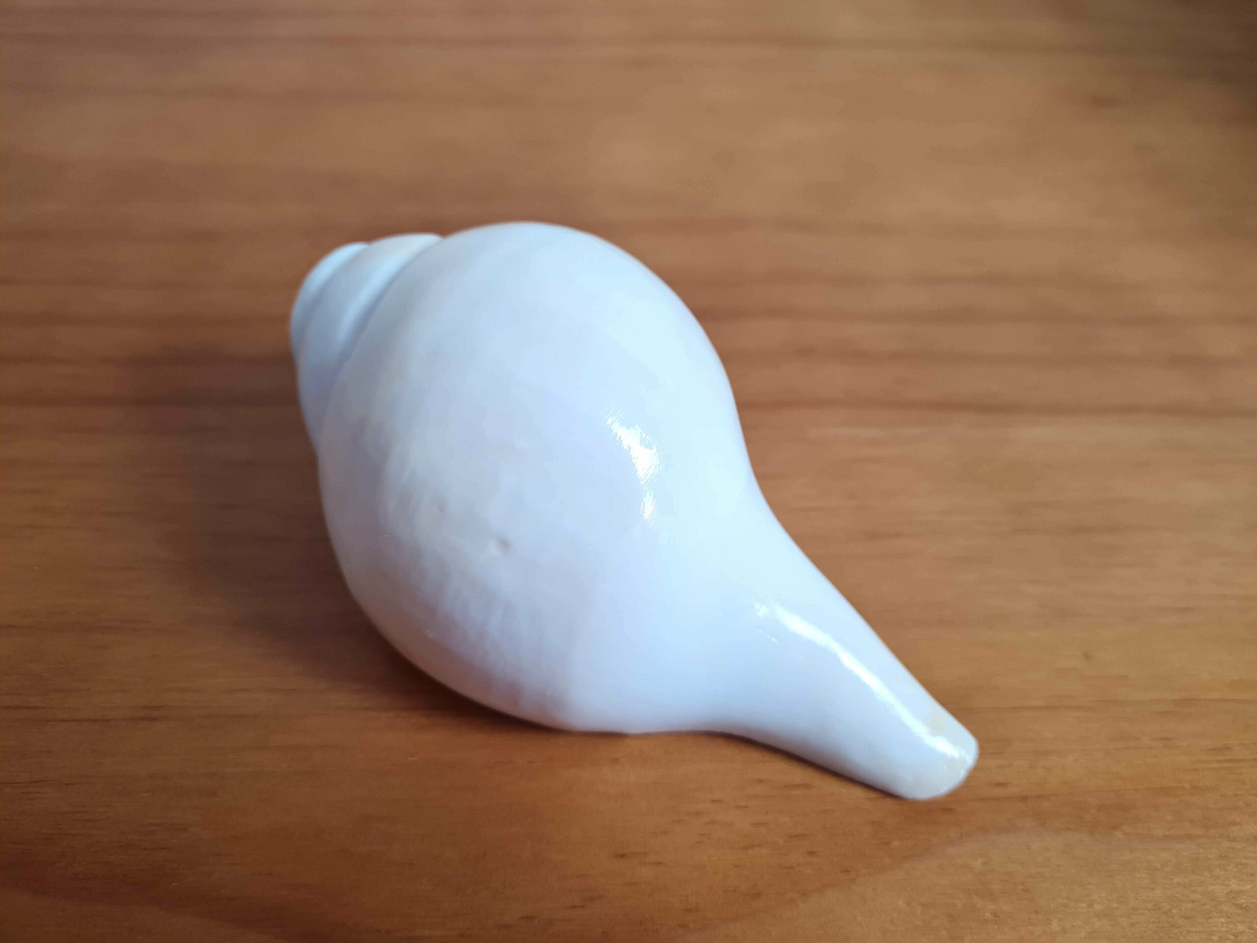 Shankha instrumento musical tradicional indiano 13cm – Bazar Indiano